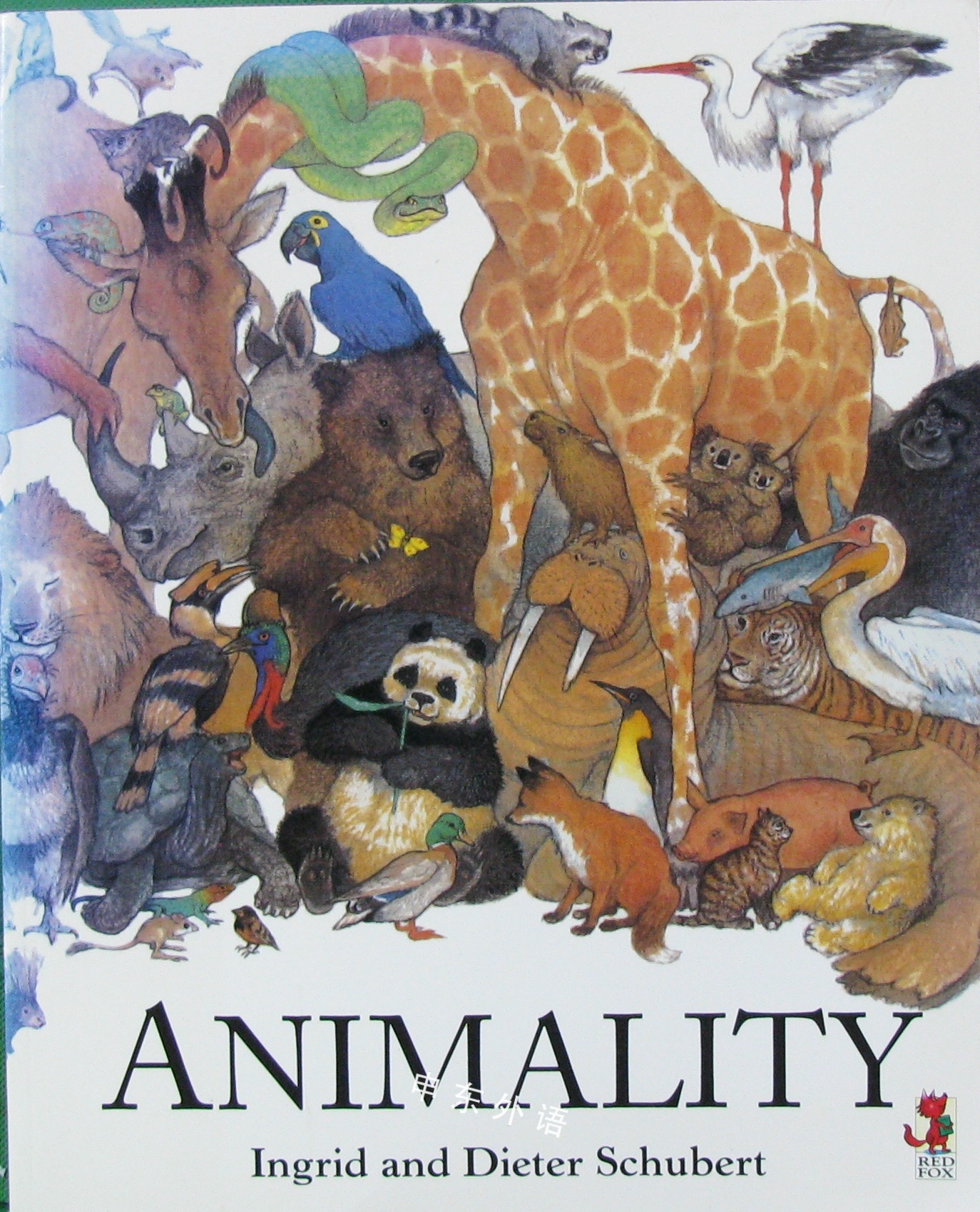 Animality_( S )_作者与插画_儿童图书_进口图书_进口书,原版书,绘本书,英文原版图书,儿童纸板书,外语图书,进口儿童书,原版儿童书