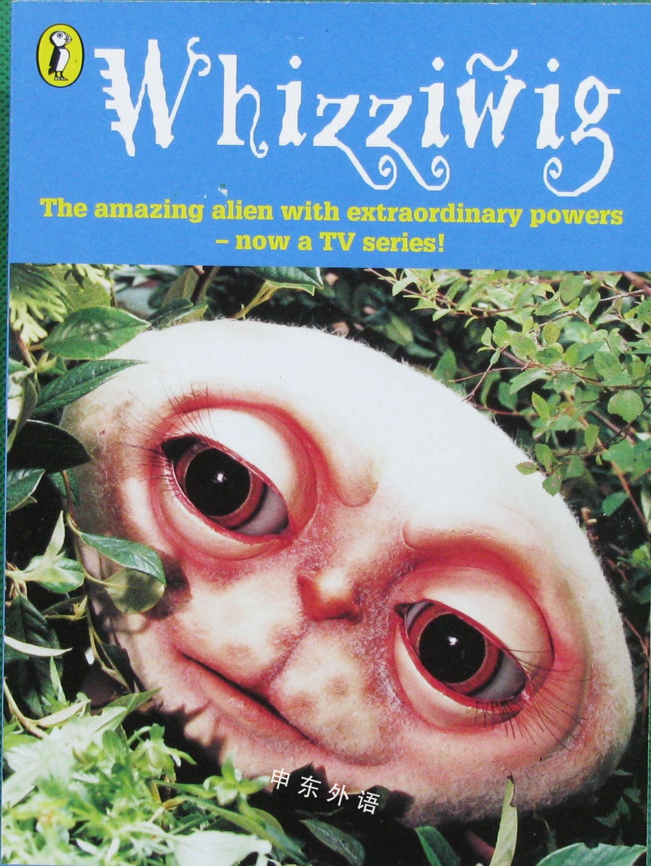 Whizziwig 科学，自然与自然规律儿童图书进口图书进口书原版书绘本书英文原版图书儿童纸板书外语图书进口儿童书原版儿童书