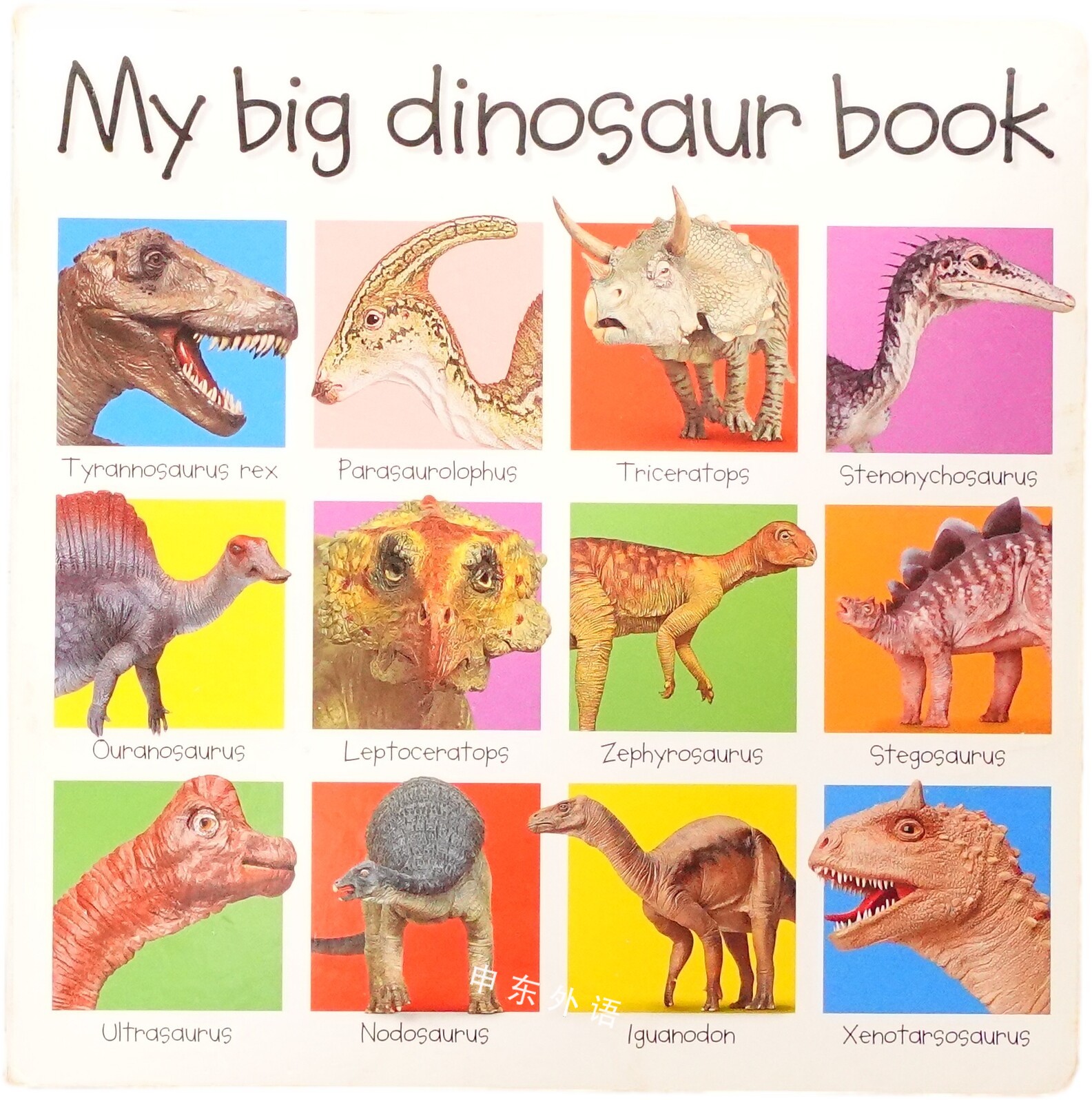 My Big Dinosaur Book Priddy Books Big Ideas for Little People_动物_儿童图书 ...