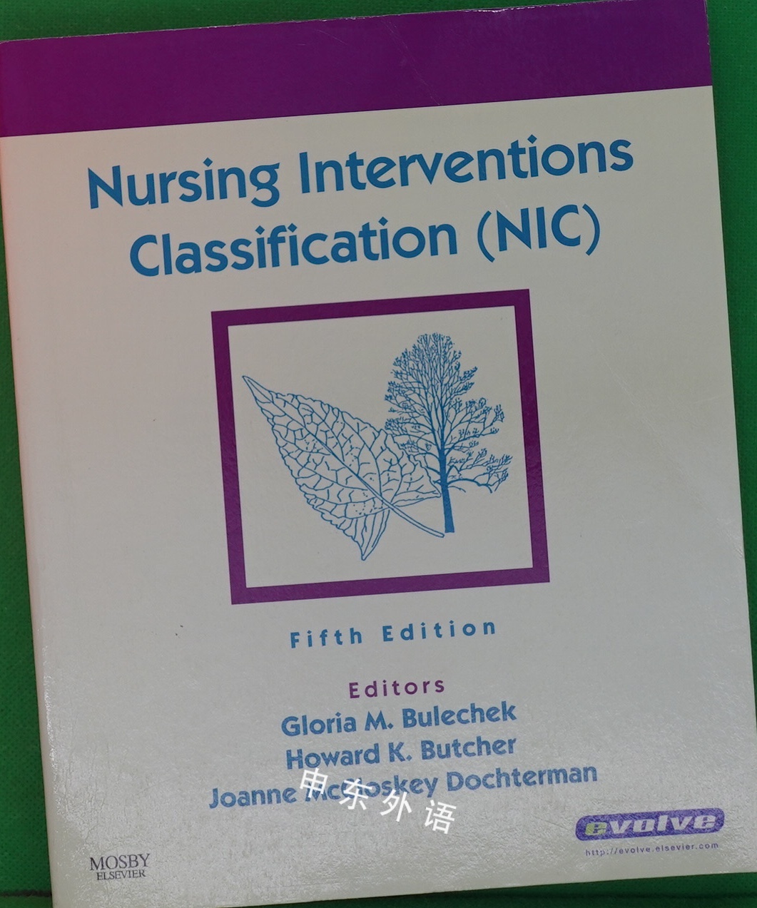 Nursing Interventions Classification nursing-interventions-classification