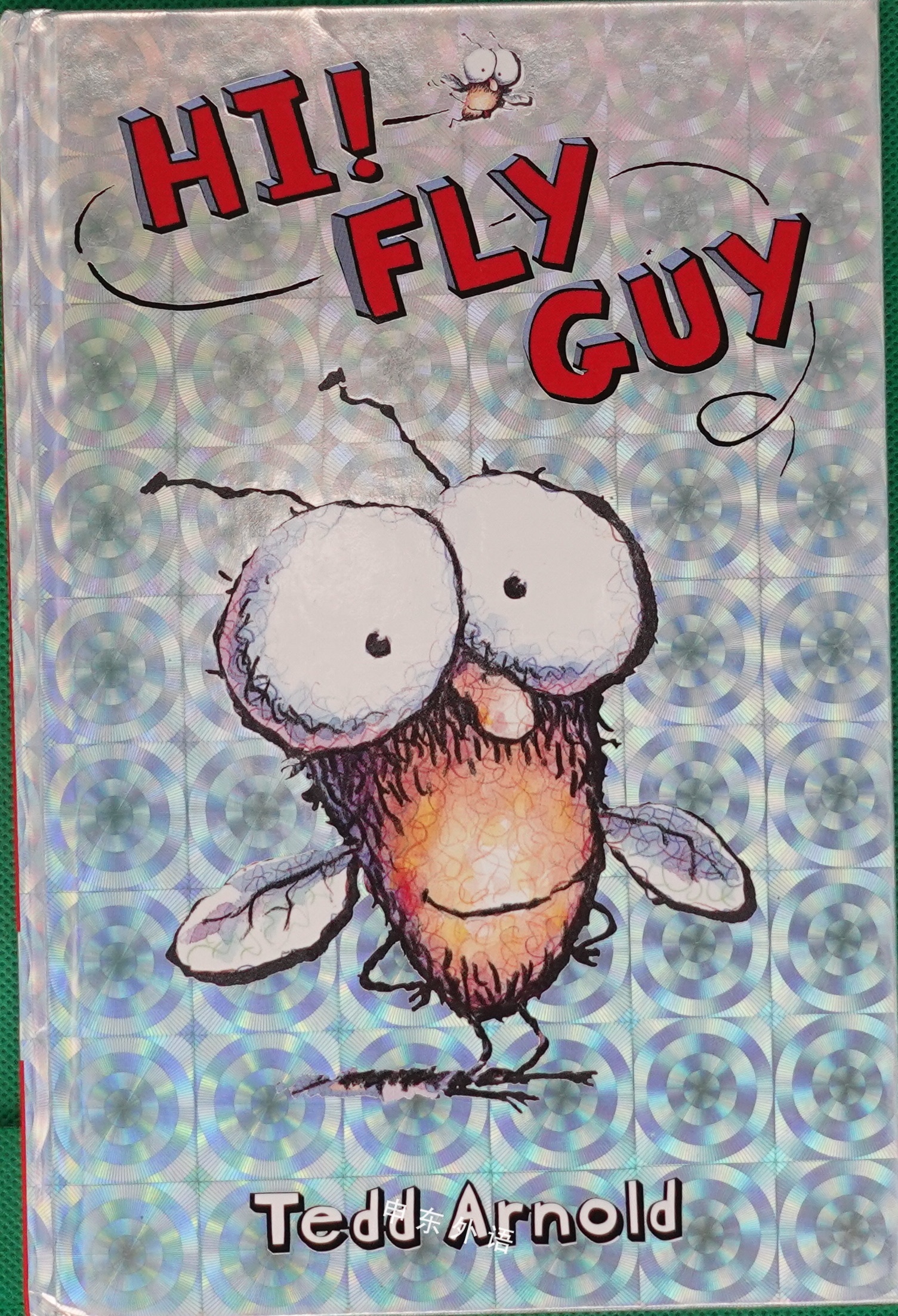 Hi Fly Guy _动物_儿童图书_进口图书_进口书,原版书,绘本书,英文原版图书,儿童纸板书,外语图书,进口儿童书,原版儿童书