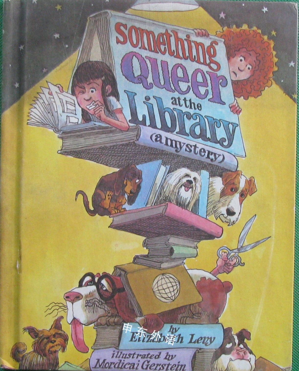 Something Queer At The Library A Mystery童话和民间故事和神话儿童图书进口图书进口书原版书