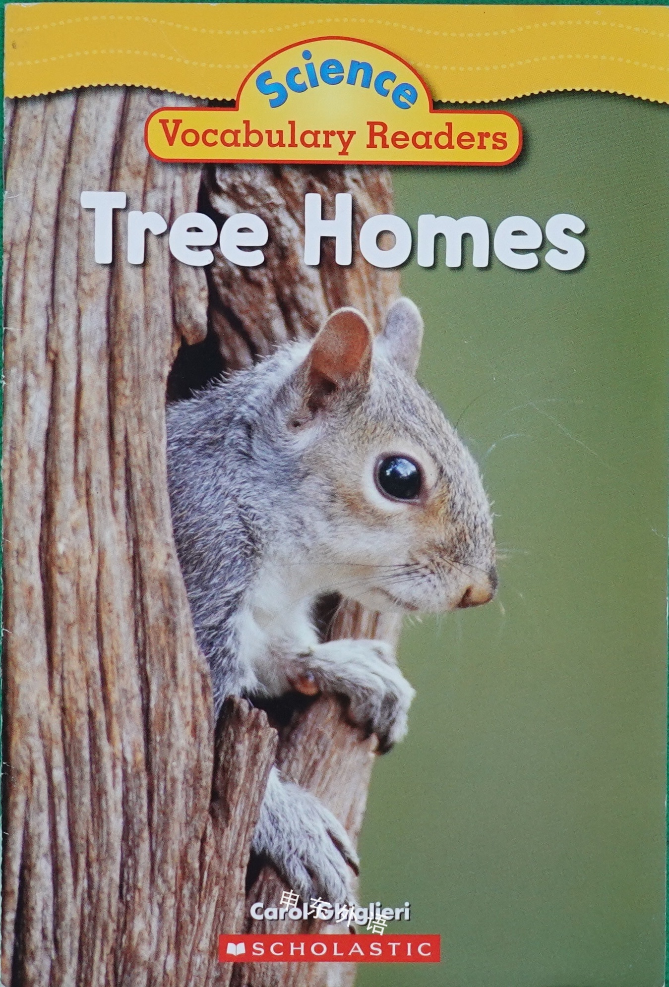 Tree Homes Science Vocabulary Readers早期的读者系列儿童图书进口图书进口书原版书绘本书英文