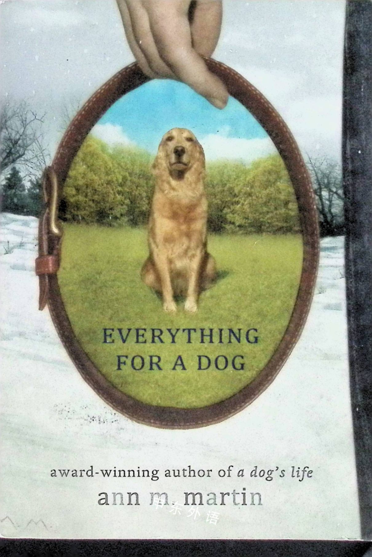 Everything for a Dog_作者与插画_儿童图书_进口图书_进口书,原版书,绘本书,英文原版图书,儿童纸板书,外语图书,进口儿童 ...