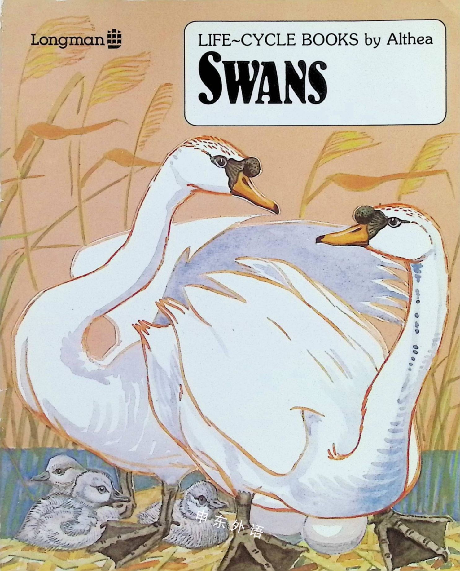 Swan Life Cycle A 作者与插画儿童图书进口图书进口书原版书绘本书英文原版图书儿童纸板书外语图书