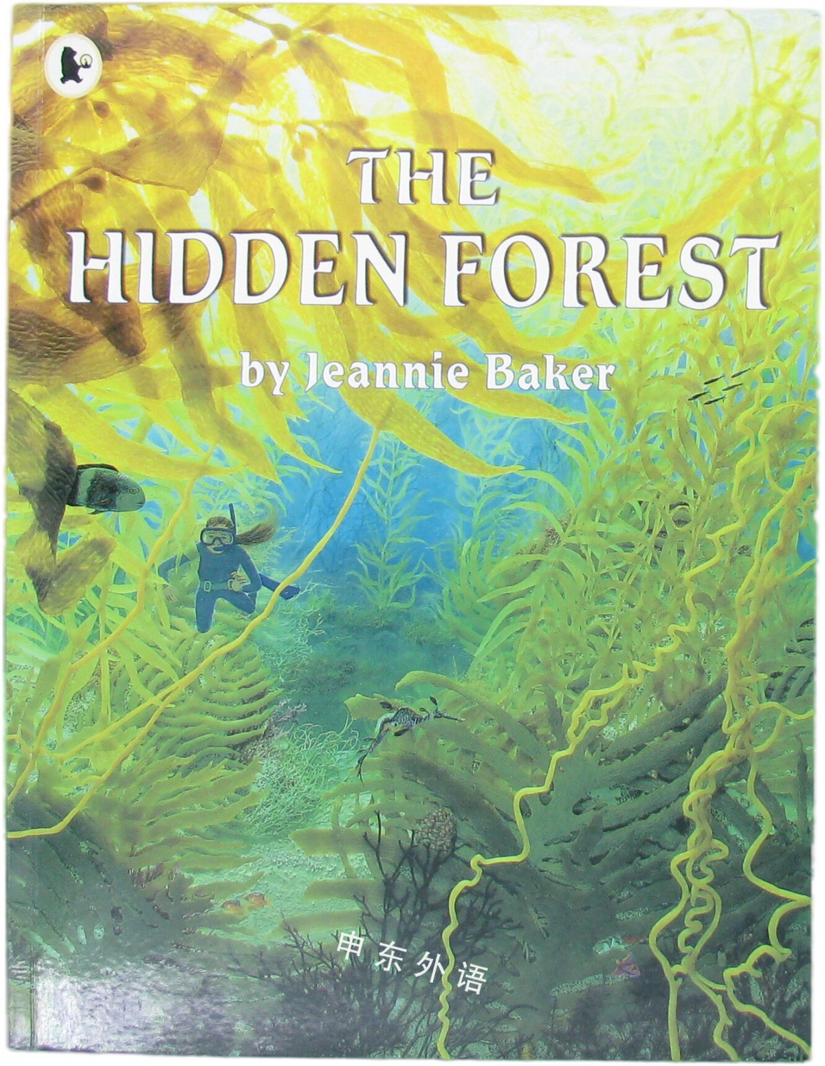 The Hidden Forest科学，自然与自然规律儿童图书进口图书进口书原版书绘本书英文原版图书儿童纸板书外语图书进口