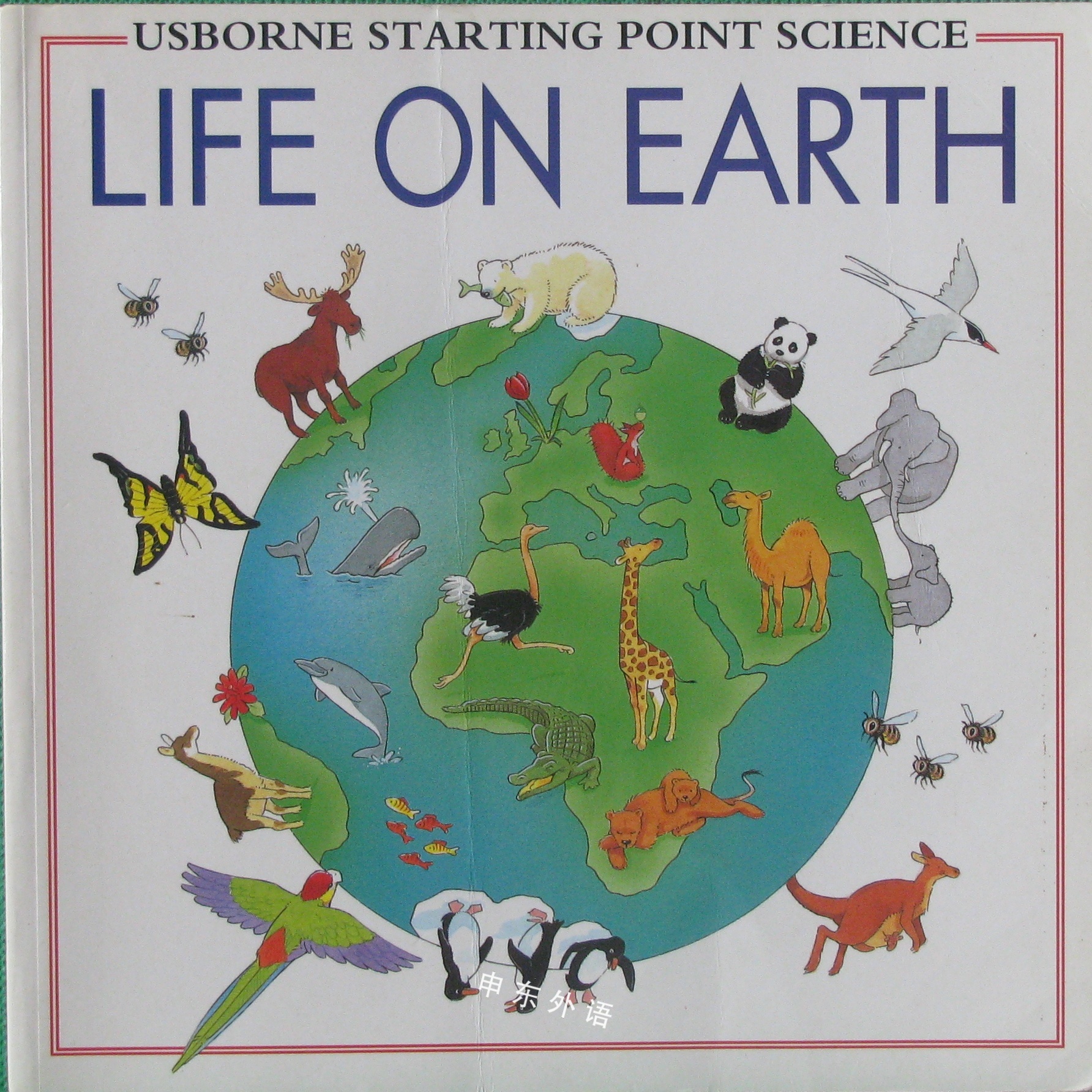 Life On Earth Usborne Starting Point Science自然科学，自然与自然规律儿童图书进口图书