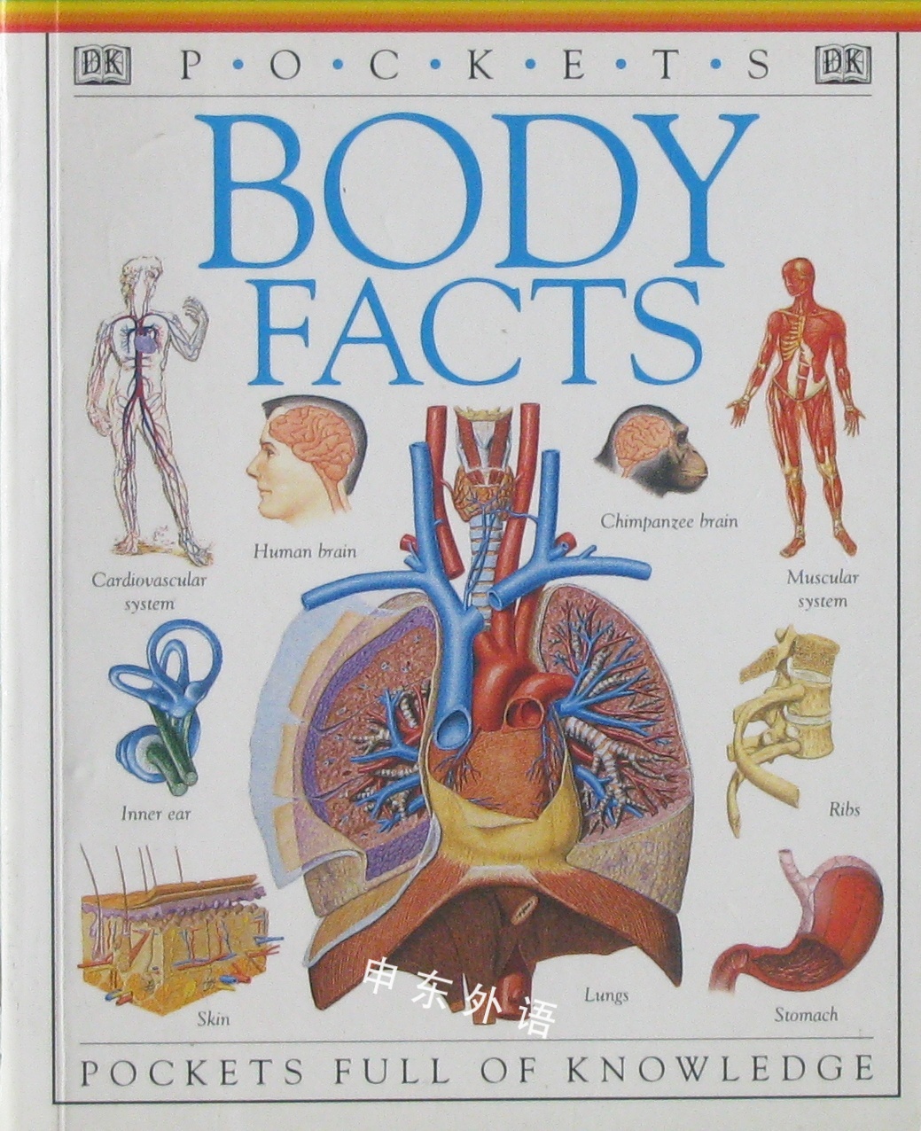 Pockets Body Facts Pocket Guides解剖及生理学科学，自然与自然规律儿童图书进口图书进口书原版书