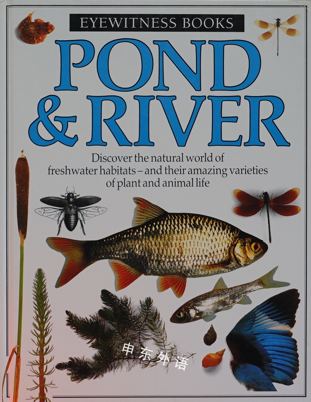 Pond & River (Eyewitness Books)_作者与插画_儿童图书_进口图书_进口书,原版书,绘本书,英文原版图书,儿童纸板 ...