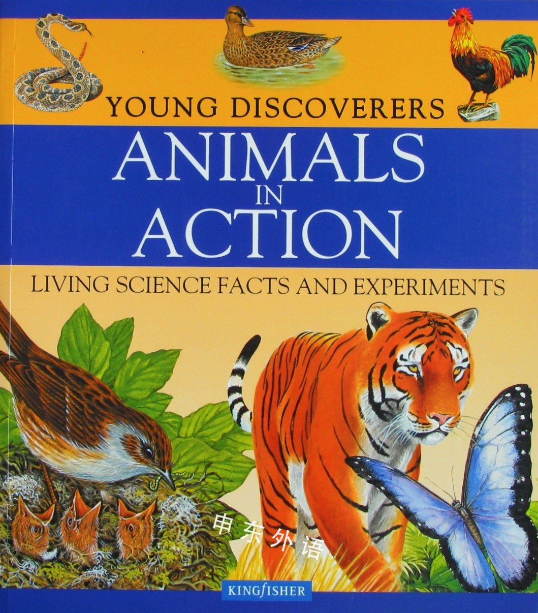 Animals in Action Young Discoverers_( M )_作者与插画_儿童图书_进口图书_进口书,原版书,绘本书 ...