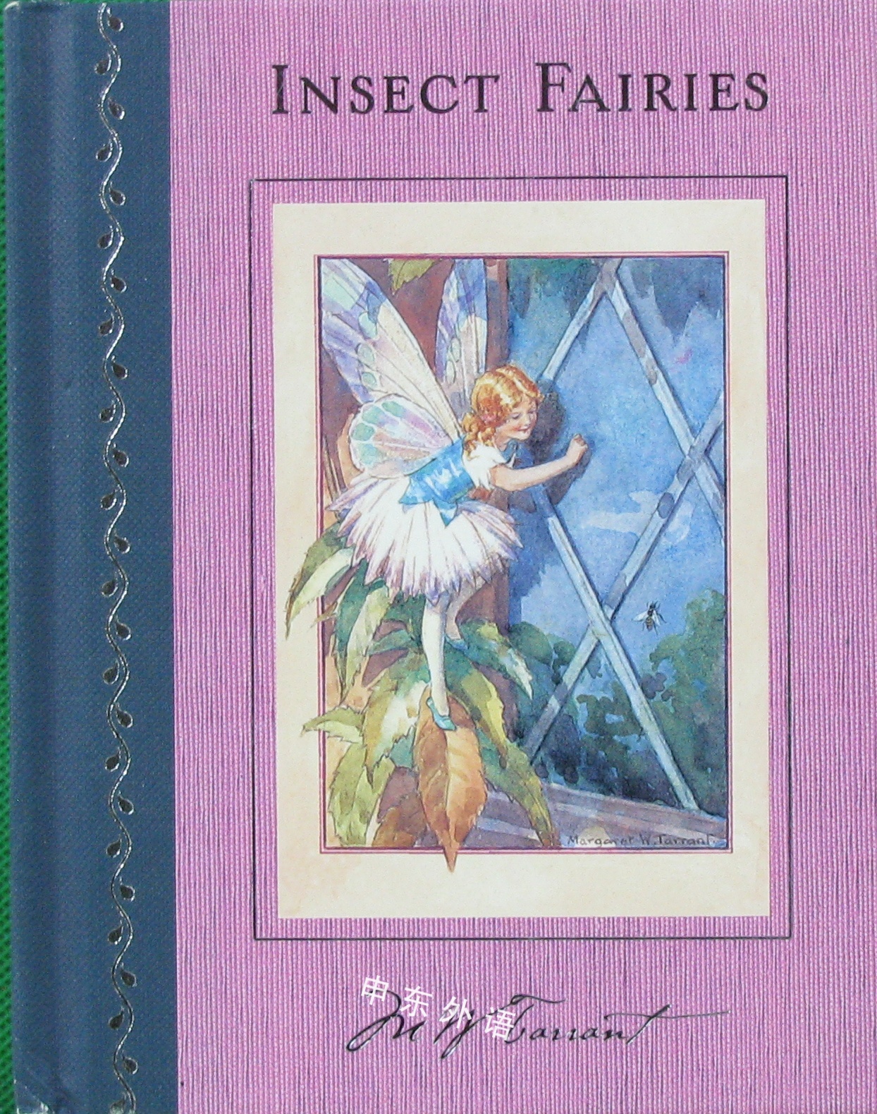 Insect Fairies_早期的读者系列_儿童图书_进口图书_进口书,原版书,绘本书,英文原版图书,儿童纸板书,外语图书,进口儿童书,原版儿童书