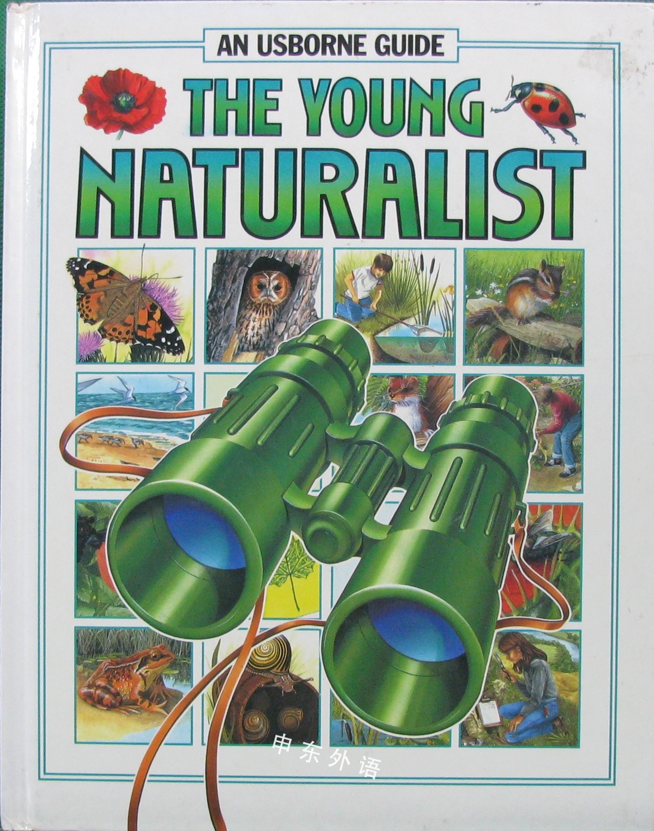 The Young Naturalist Usborne Hobby Guides自然科学，自然与自然规律儿童图书进口图书进口书