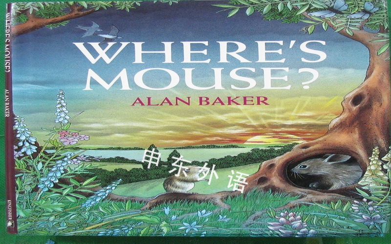 Wheres Mouseb作者与插画儿童图书进口图书进口书原版书绘本书英文原版图书儿童纸板书外语图书进口儿童书原版儿童书