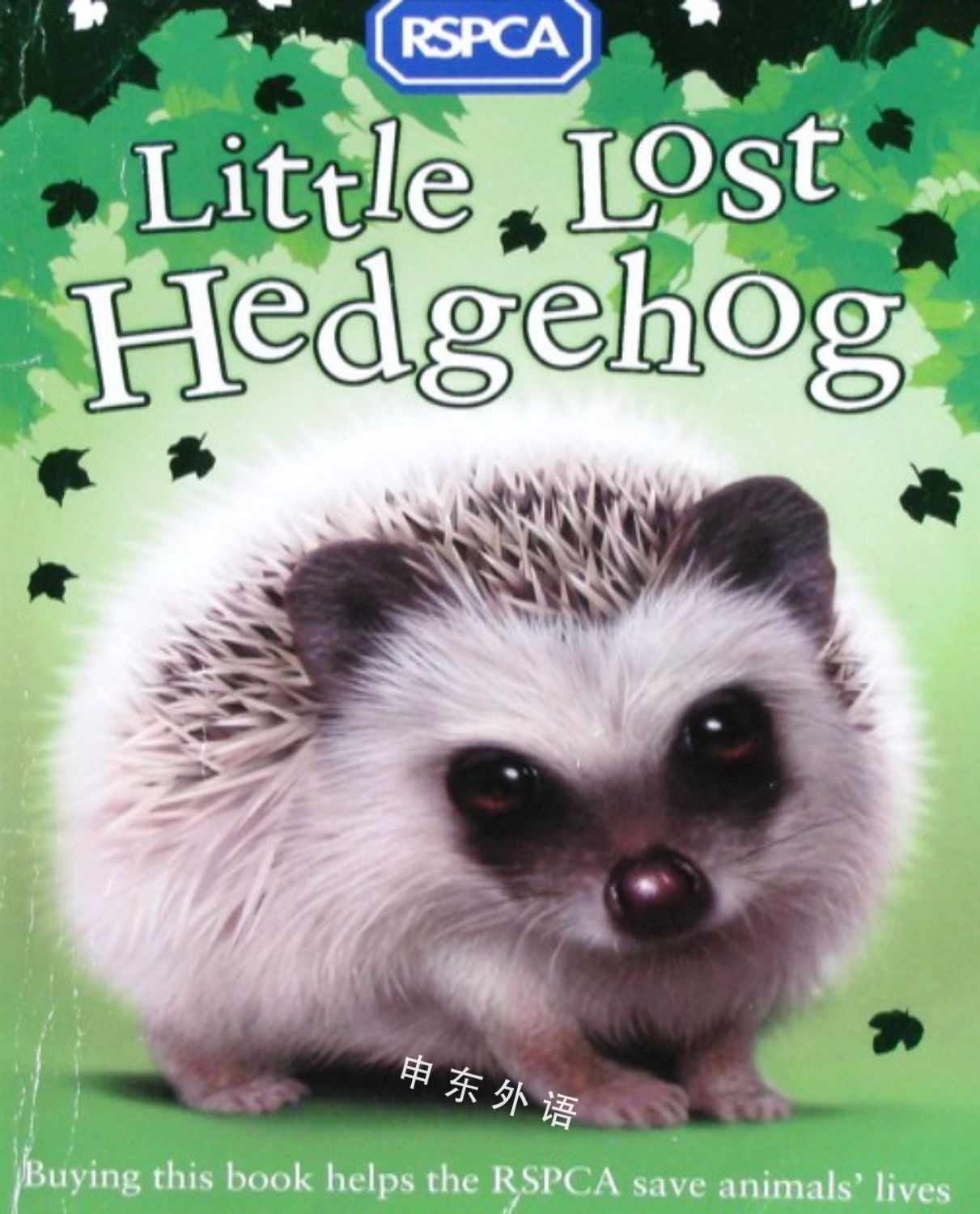 Little Lost Hedgehog文学儿童图书进口图书进口书原版书绘本书英文原版图书儿童纸板书外语图书进口儿童书原版儿童书