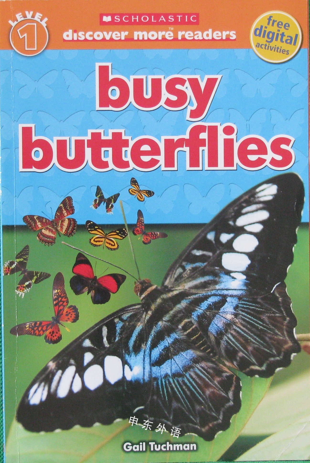 Busy Butterflies早期的读者系列儿童图书进口图书进口书原版书绘本书英文原版图书儿童纸板书外语图书进口儿童书