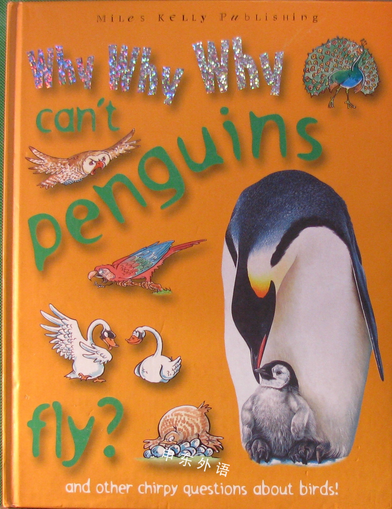 Why Why Why Cant Penguins Fly And Other Chirpy Questions About Birds