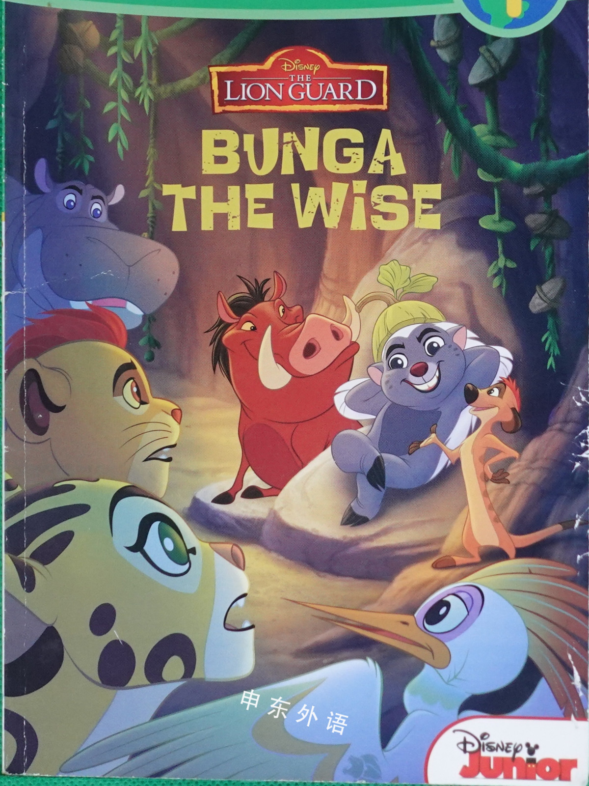 Bunga The Wise系列读物儿童图书进口图书进口书原版书绘本书英文原版图书儿童纸板书外语图书进口儿童书原版儿童书