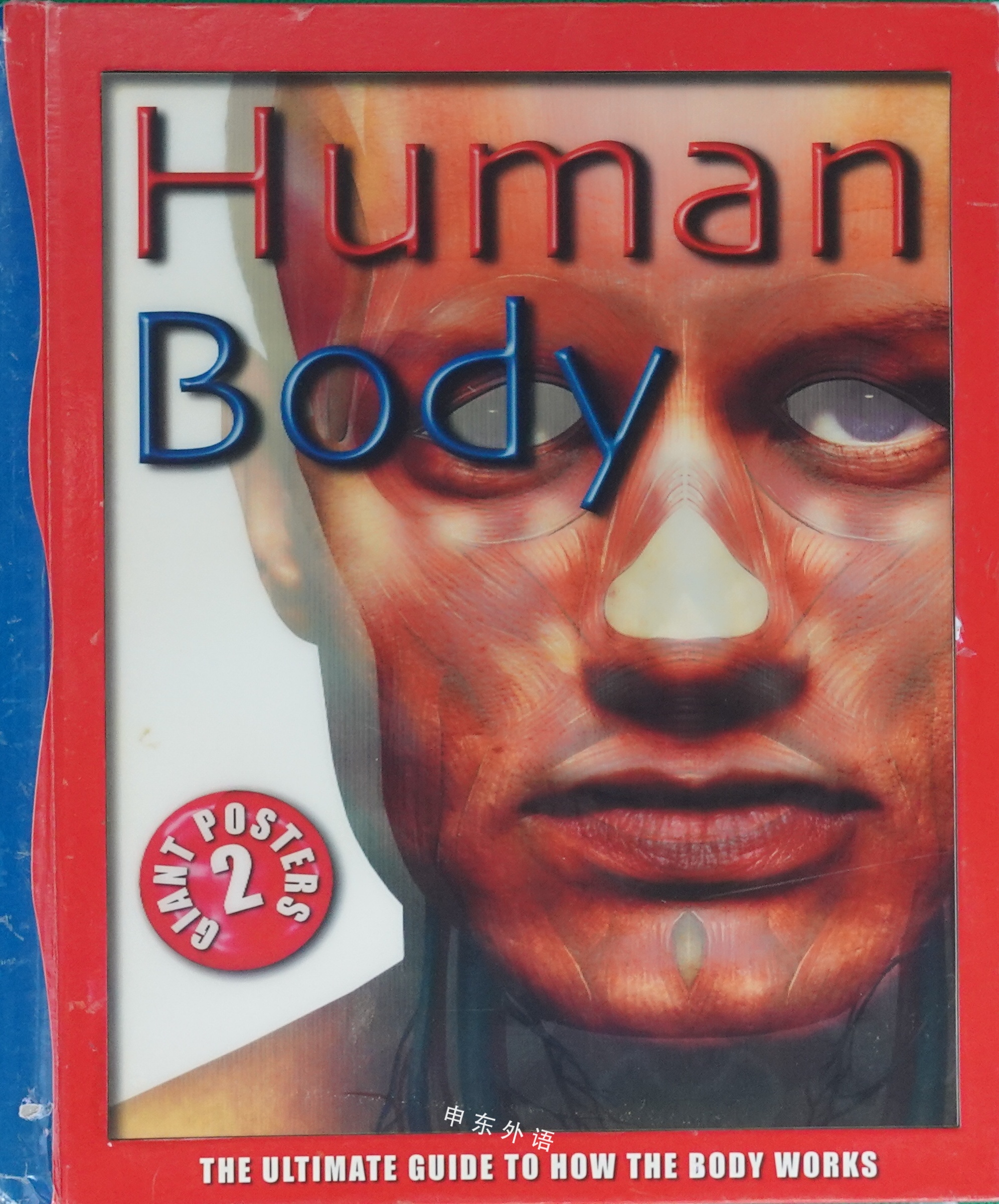 Human Body The Ultimate Guide To How The Body Works human-body-the-ultimate-guide-to-how-the-body-works