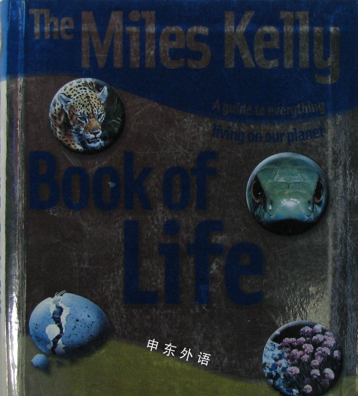 The Miles Kelly Book Of Life科学，自然与自然规律儿童图书进口图书进口书原版书绘本书英文原版图书儿童