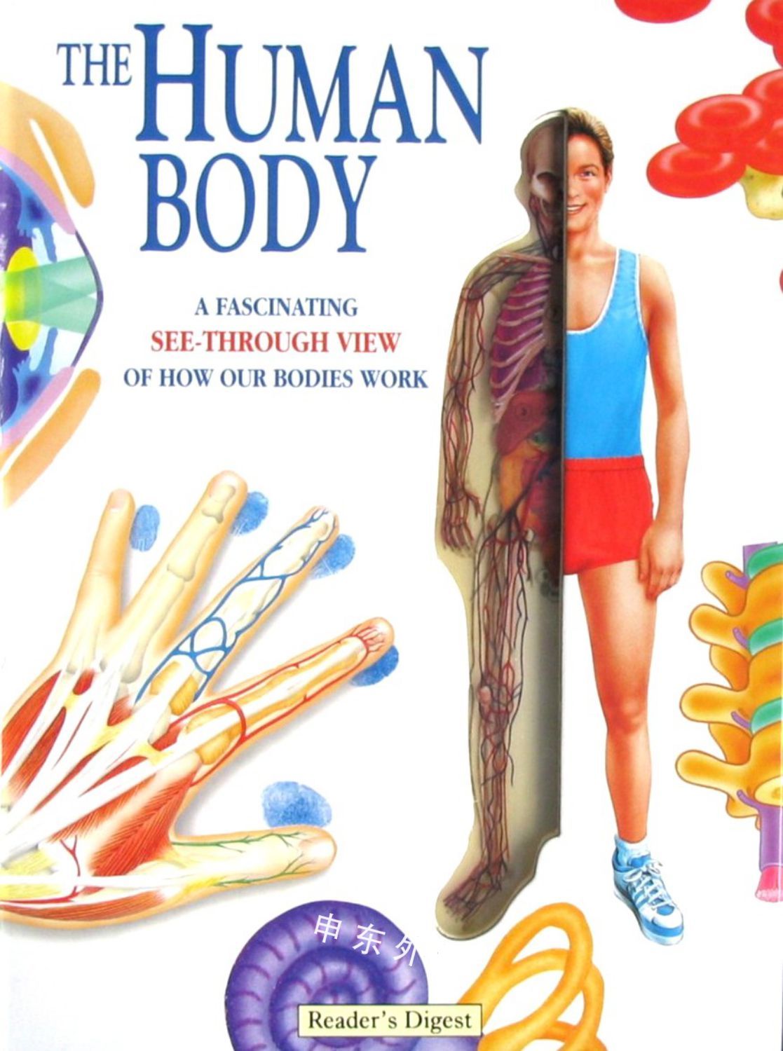 The Human Body解剖及生理学科学，自然与自然规律儿童图书进口图书进口书原版书绘本书英文原版图书儿童纸板书外语