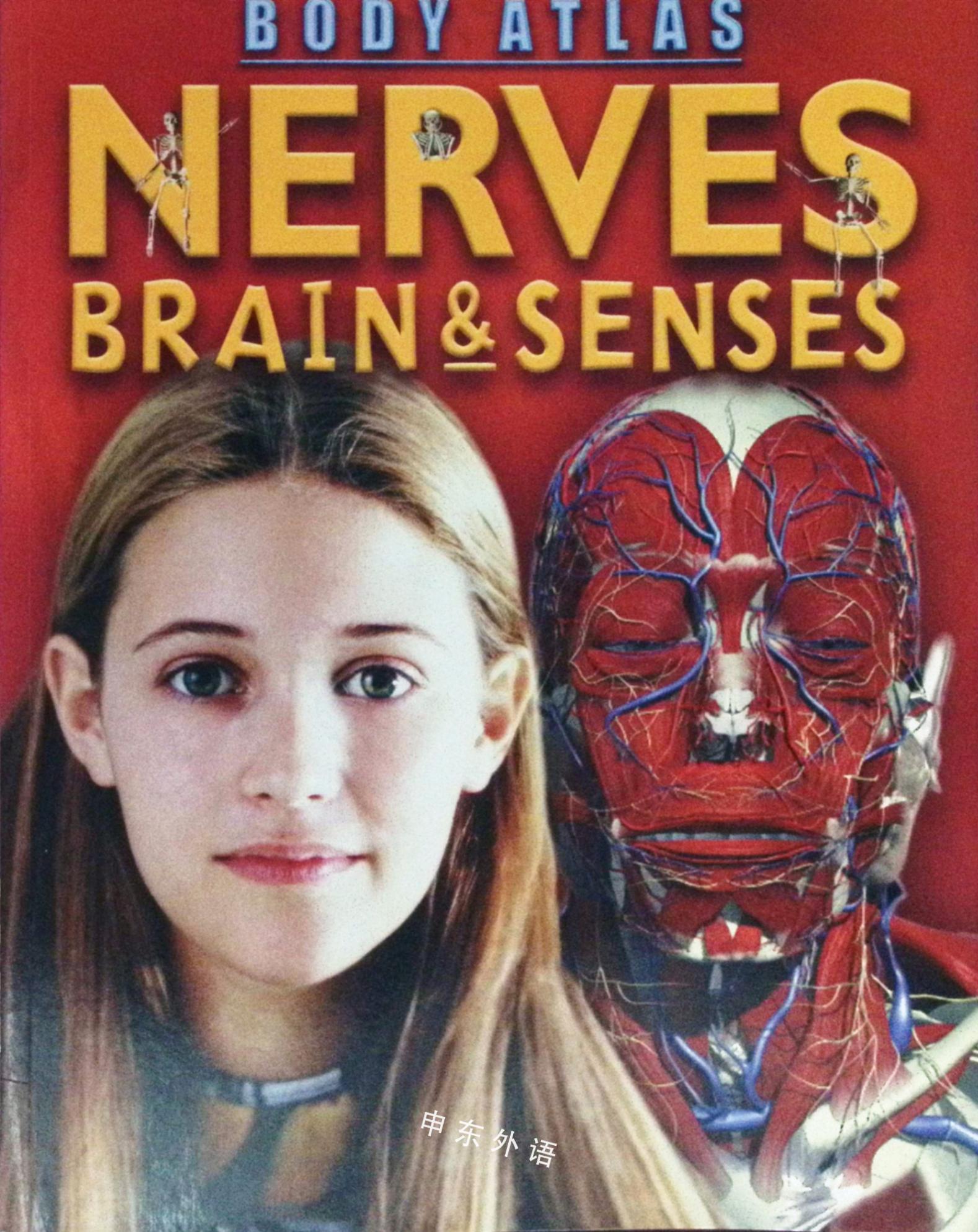Nerves Brain And Senses解剖及生理学科学，自然与自然规律儿童图书进口图书进口书原版书绘本书英文原版图书