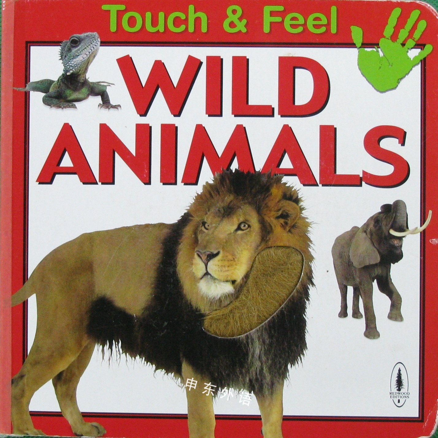Touch & Feel: Wild animals_动物_儿童图书_进口图书_进口书,原版书,绘本书,英文原版图书,儿童纸板书,外语图书 ...