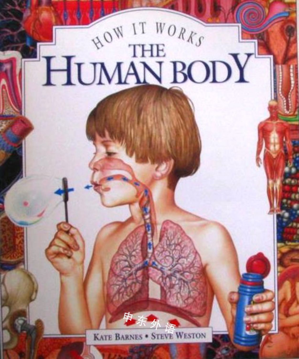 How It Works The Human Body解剖及生理学科学，自然与自然规律儿童图书进口图书进口书原版书绘本书英文