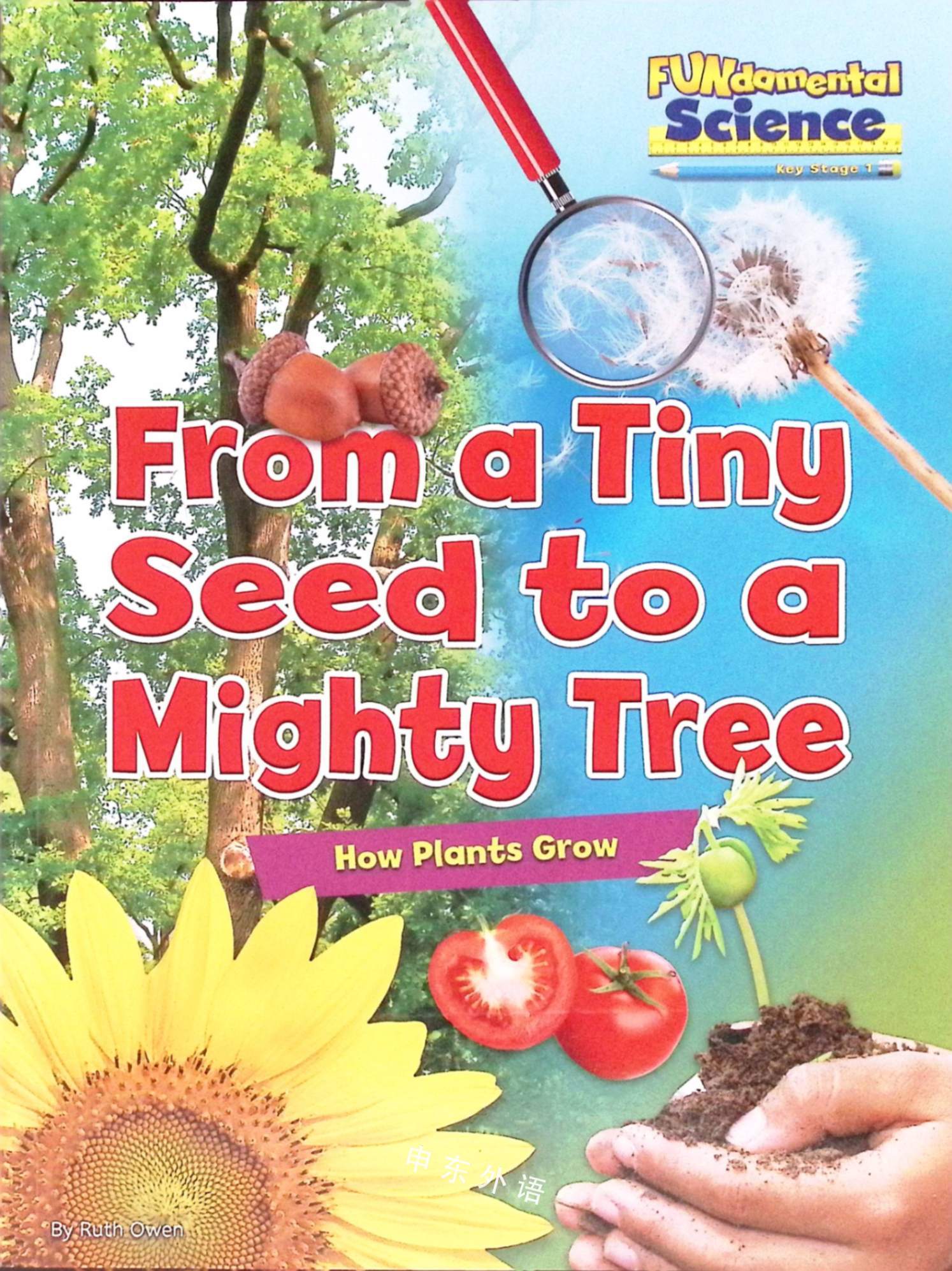 Fundamental Science Key Stage 1 From A Tiny Seed To A Mighty Tree科学